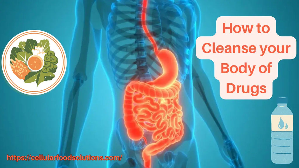 How to Cleanse your Body of Drugs – drsebiwebsite